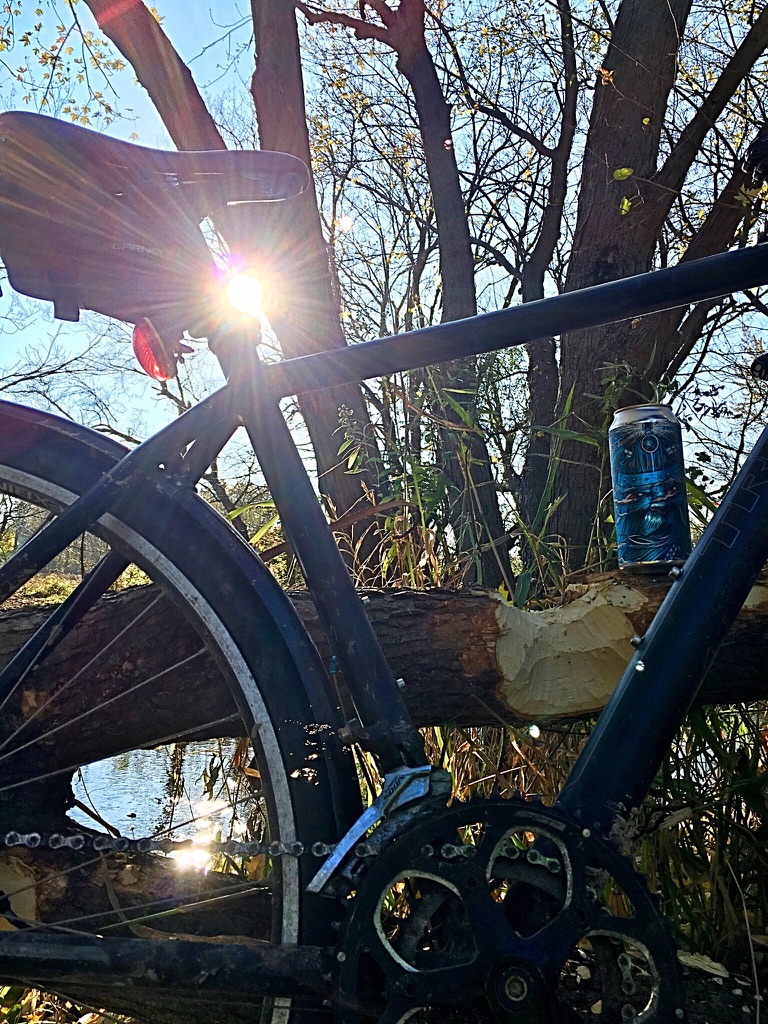 Happy Wednesday – VeggHead BeerCyclist